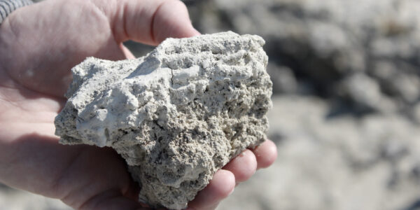 Types of brandy – Taste, Origins and pairings