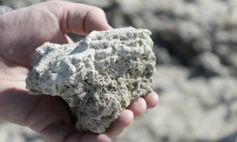 Albariza: Queen of Soils in the Sherry Region - Bodegas Lustau