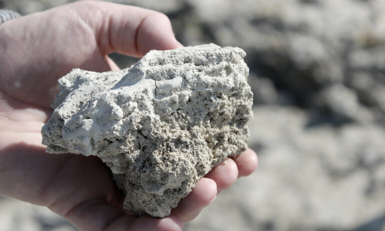 Albariza: Queen of Soils in the Sherry Region - Bodegas Lustau