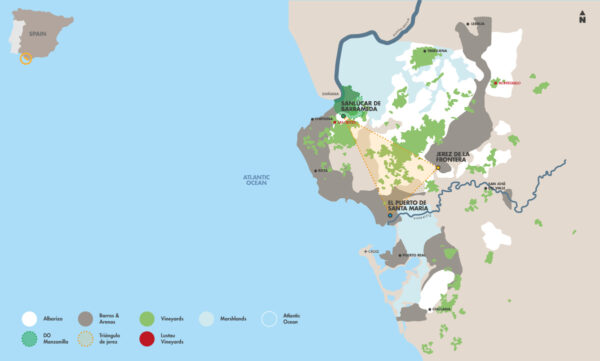 Albariza: Queen of Soils in the Sherry Region - Bodegas Lustau