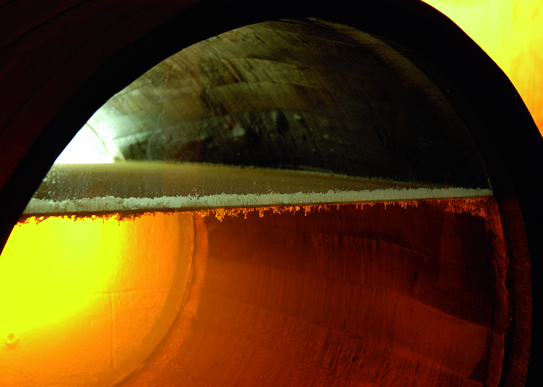 Lustau Pioneers Flor Yeast Research Science And Tradition Unite In Sherry